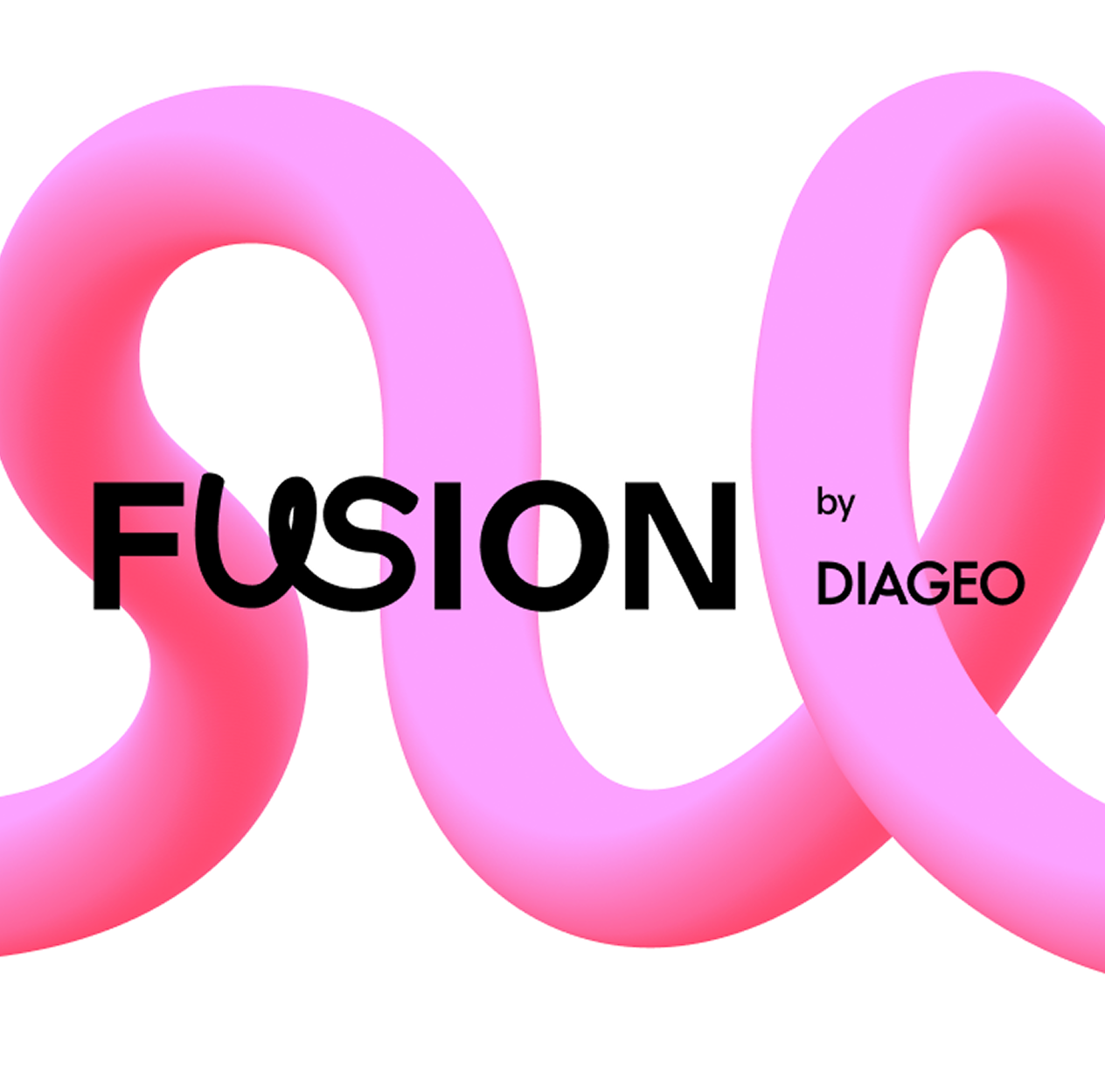 Fusion Partnership Lab